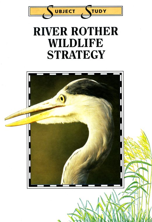 When the river Rother was at its worst – Brimington and Tapton Local ...